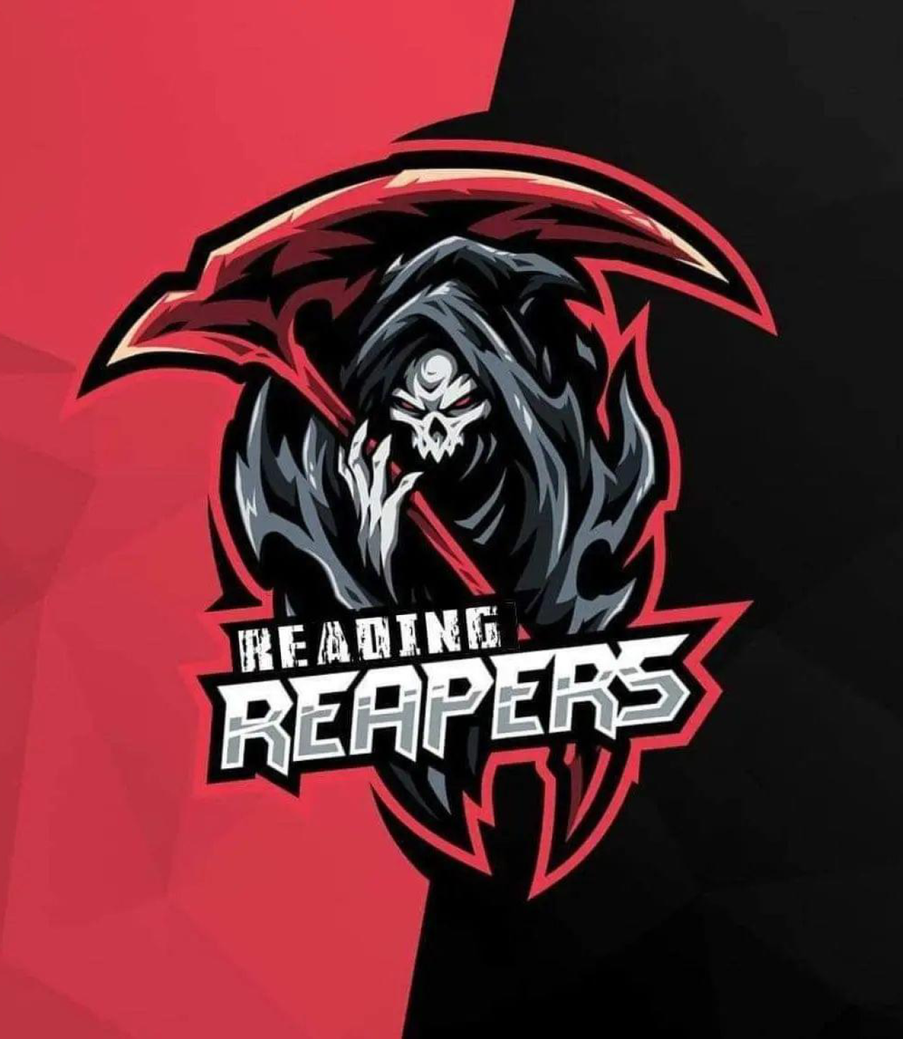 The Atlantic Coast Football Alliance